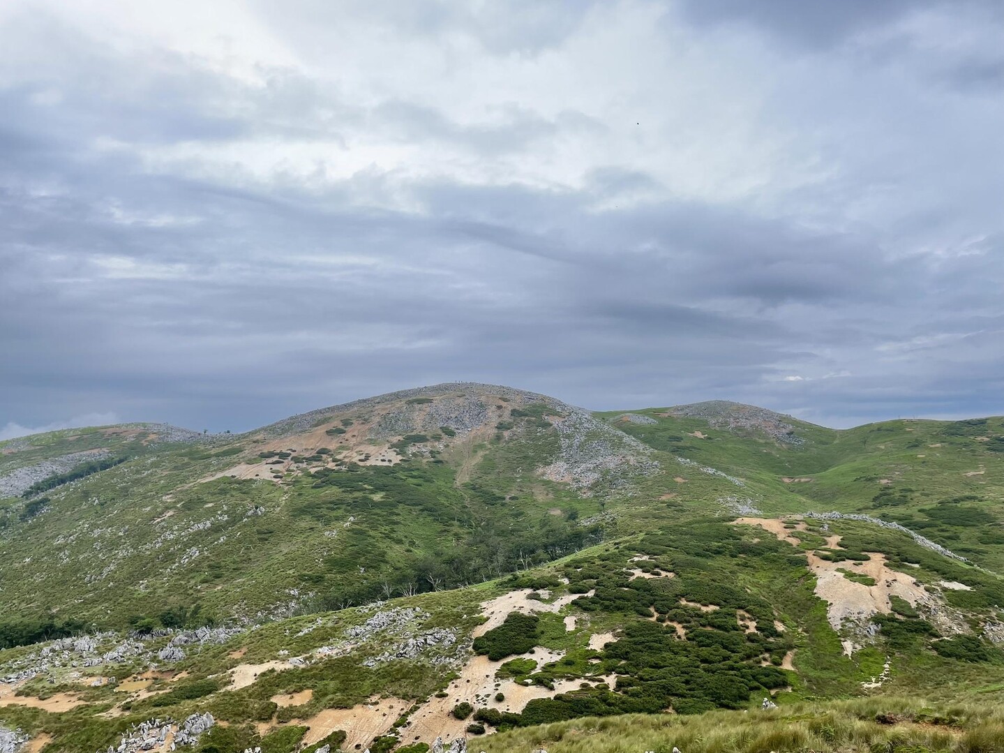 南霊岳・霊仙山最高点・霊仙山・経塚山 / Kawaさんの霊仙山の活動データ | YAMAP / ヤマップ