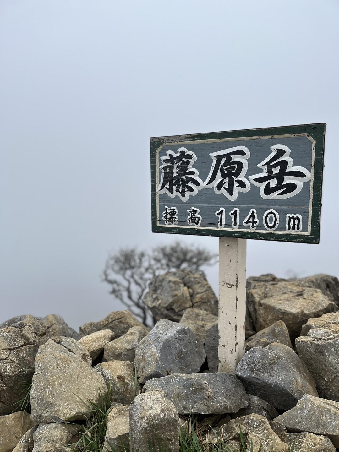 藤原岳 / kazu kunさんの藤原岳・御池岳の活動データ | YAMAP / ヤマップ