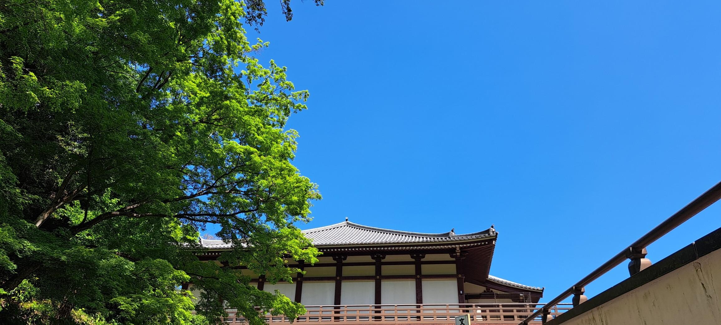 釈迦岳・ポンポン山 / arrow.rさんのポンポン山・釈迦岳・小塩山・若山の活動データ | YAMAP / ヤマップ