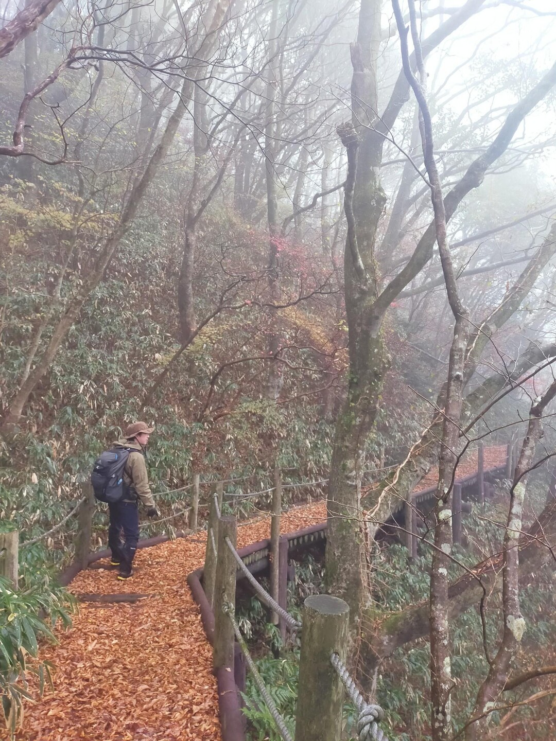 蛤岳 / ryo_kenさんの脊振山・金山の活動データ | YAMAP / ヤマップ