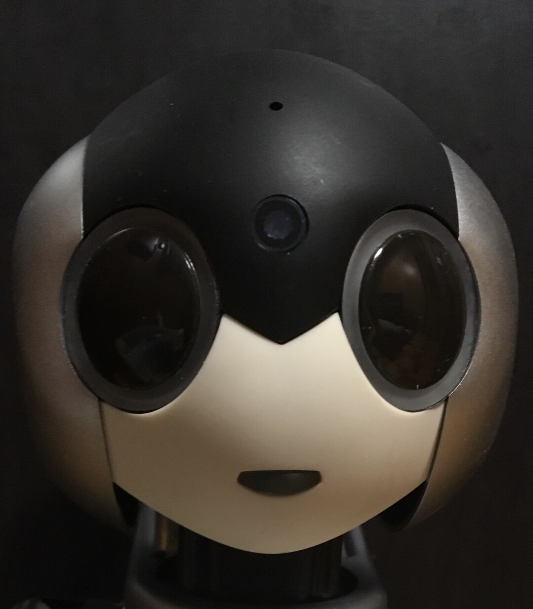 tkymtryk_0704のページ | YAMAP / ヤマップ