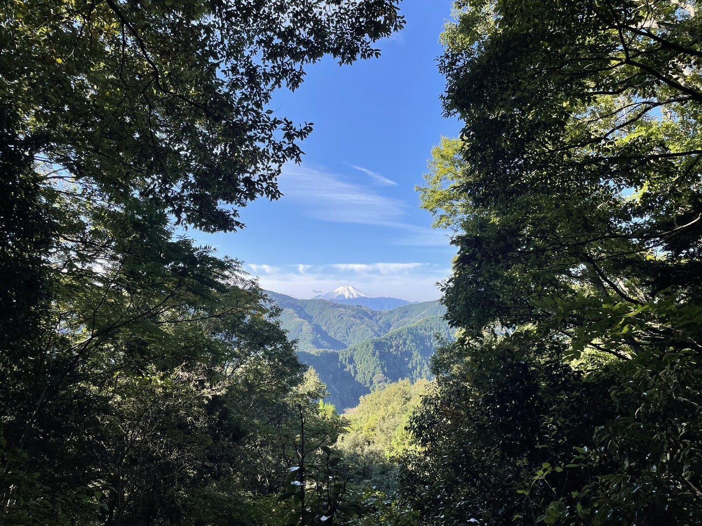 高尾マンモス 途中まで / Mitchさんの高尾山・陣馬山・景信山の活動データ | YAMAP / ヤマップ