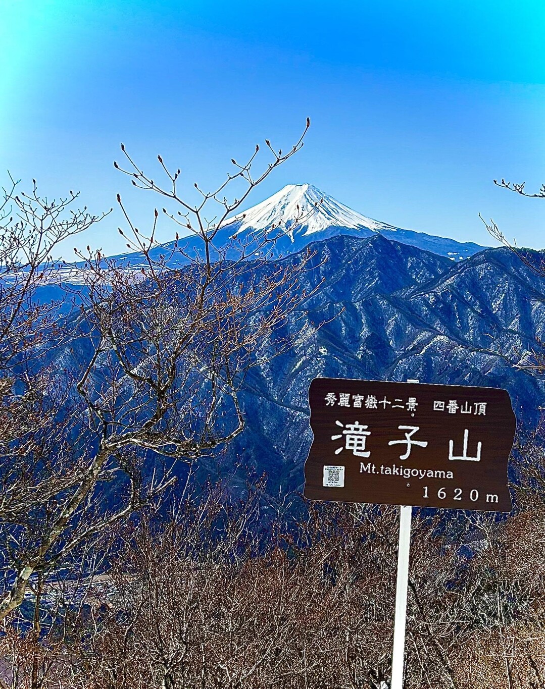 雪の滝子山。からの撤退編 / mimさんの滝子山・大谷ヶ丸・笹子雁ヶ腹摺山の活動データ | YAMAP / ヤマップ