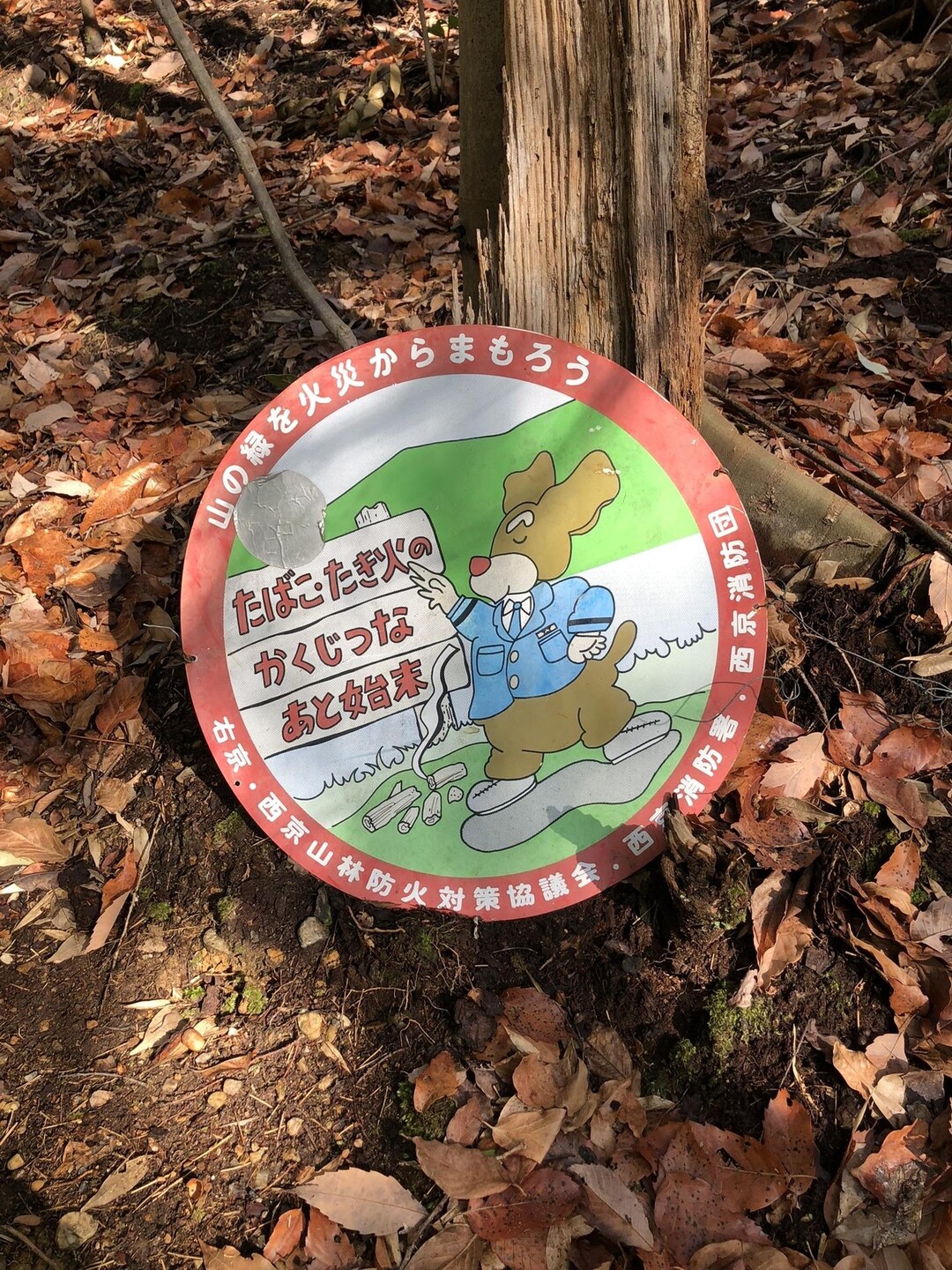 右京・西京シリーズ① 犬？なのかな？ / まるきちさんのモーメント | YAMAP / ヤマップ