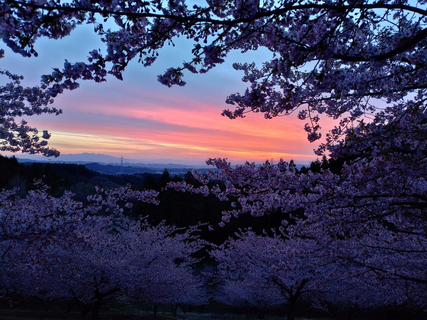天狗岳・顔面岩・妙義山（相馬岳）・東岳・中之岳 / Kozyさんの妙義山・天狗岳・相馬岳の活動データ | YAMAP / ヤマップ