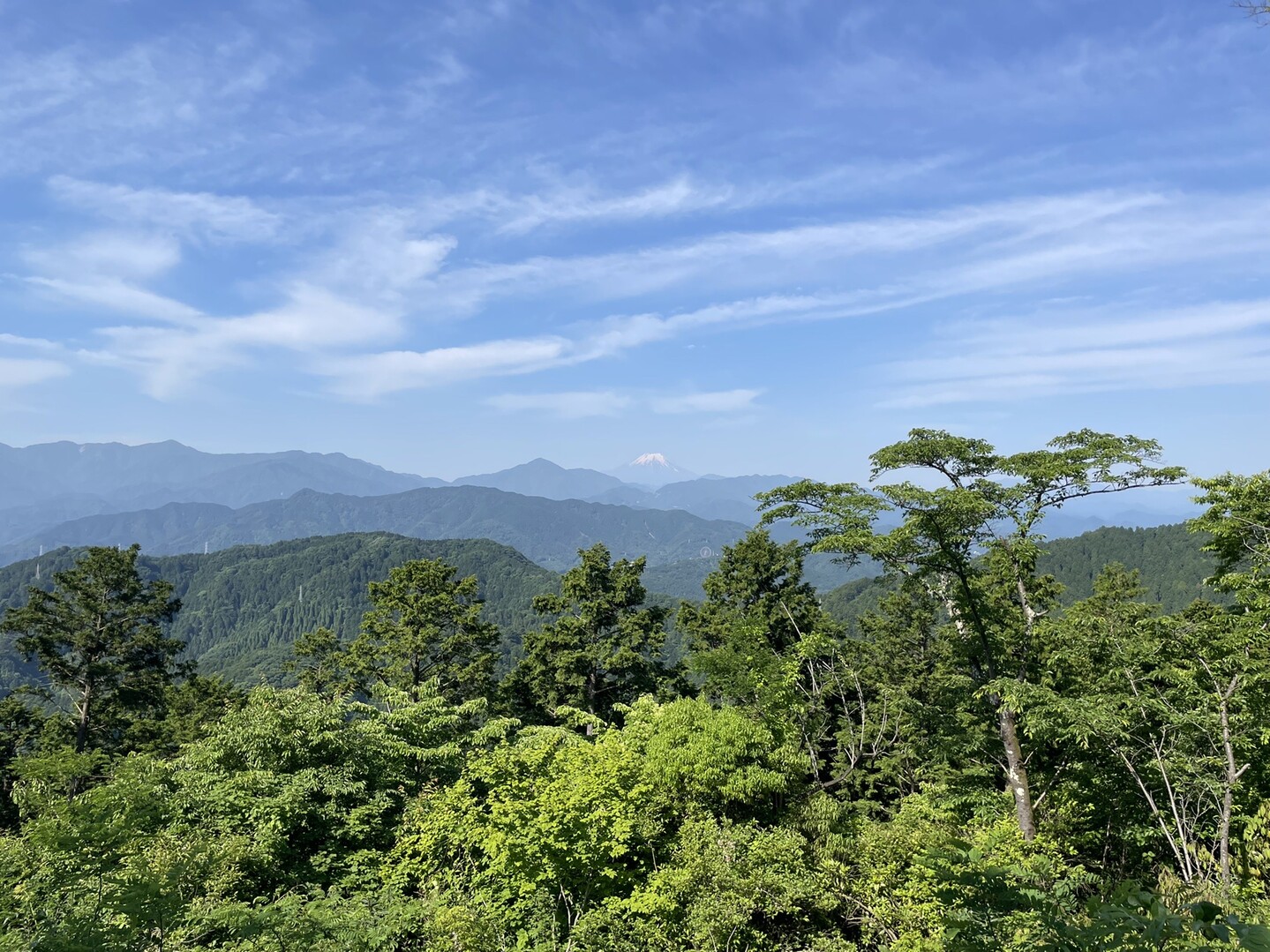 高尾山周回（稲荷山コース〜一号路） / serickさんの高尾山・陣馬山・景信山の活動データ | YAMAP / ヤマップ
