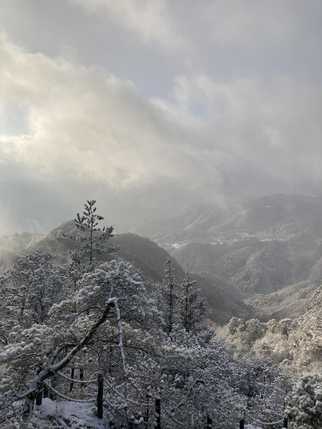 天神山 / cbmdさんの天神山の活動データ | YAMAP / ヤマップ