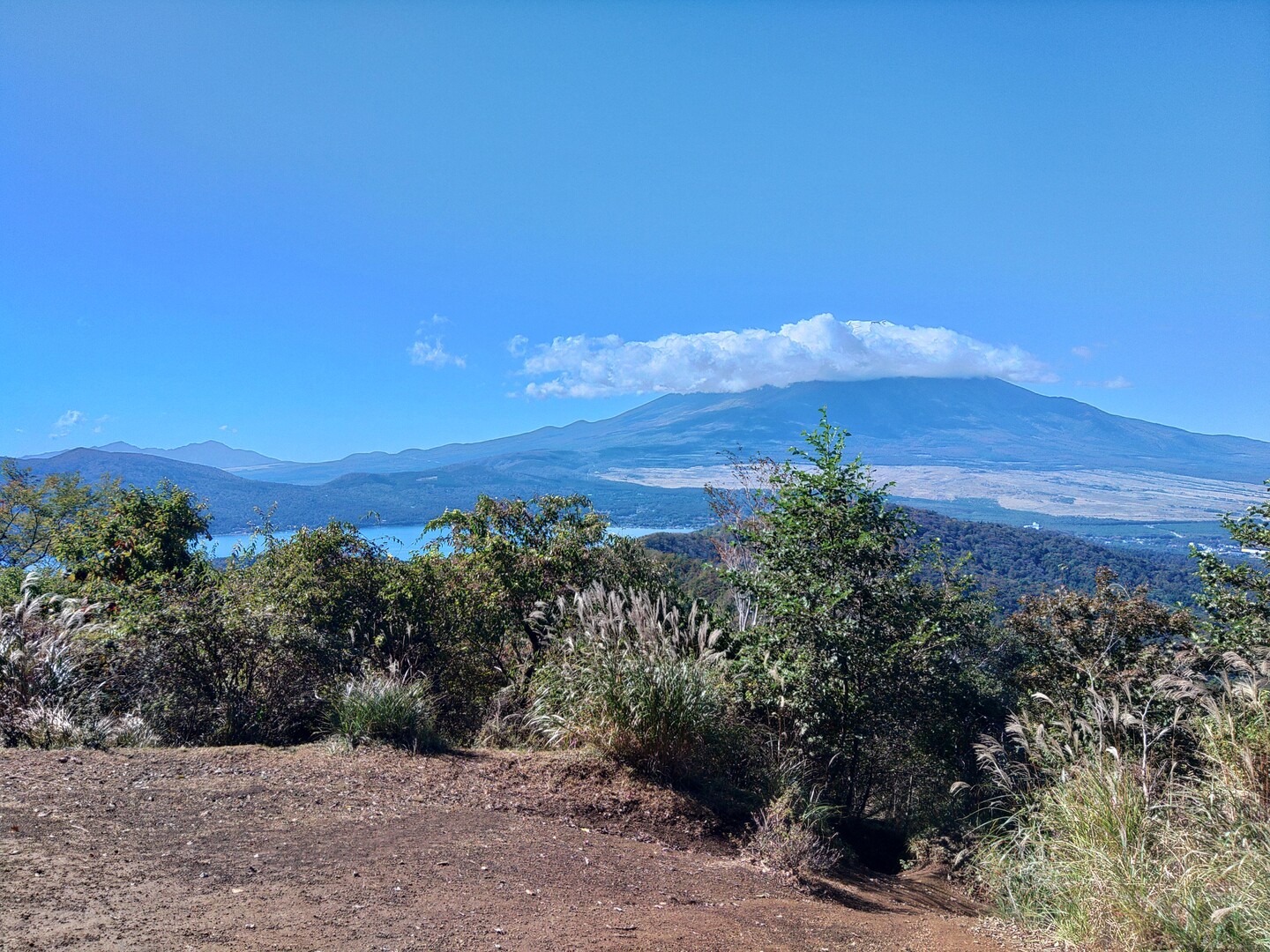 紅葉にはまだ早かった石割山～大平山 / ankamoさんの御正体山・杓子山・石割山の活動データ | YAMAP / ヤマップ