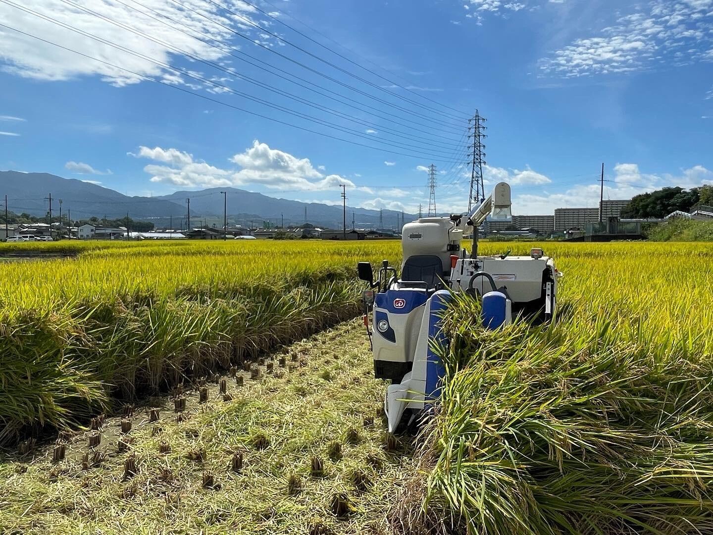 しばらくお山はお休みして金剛葛城を眺めな... / do-kichiさんのモーメント | YAMAP / ヤマップ