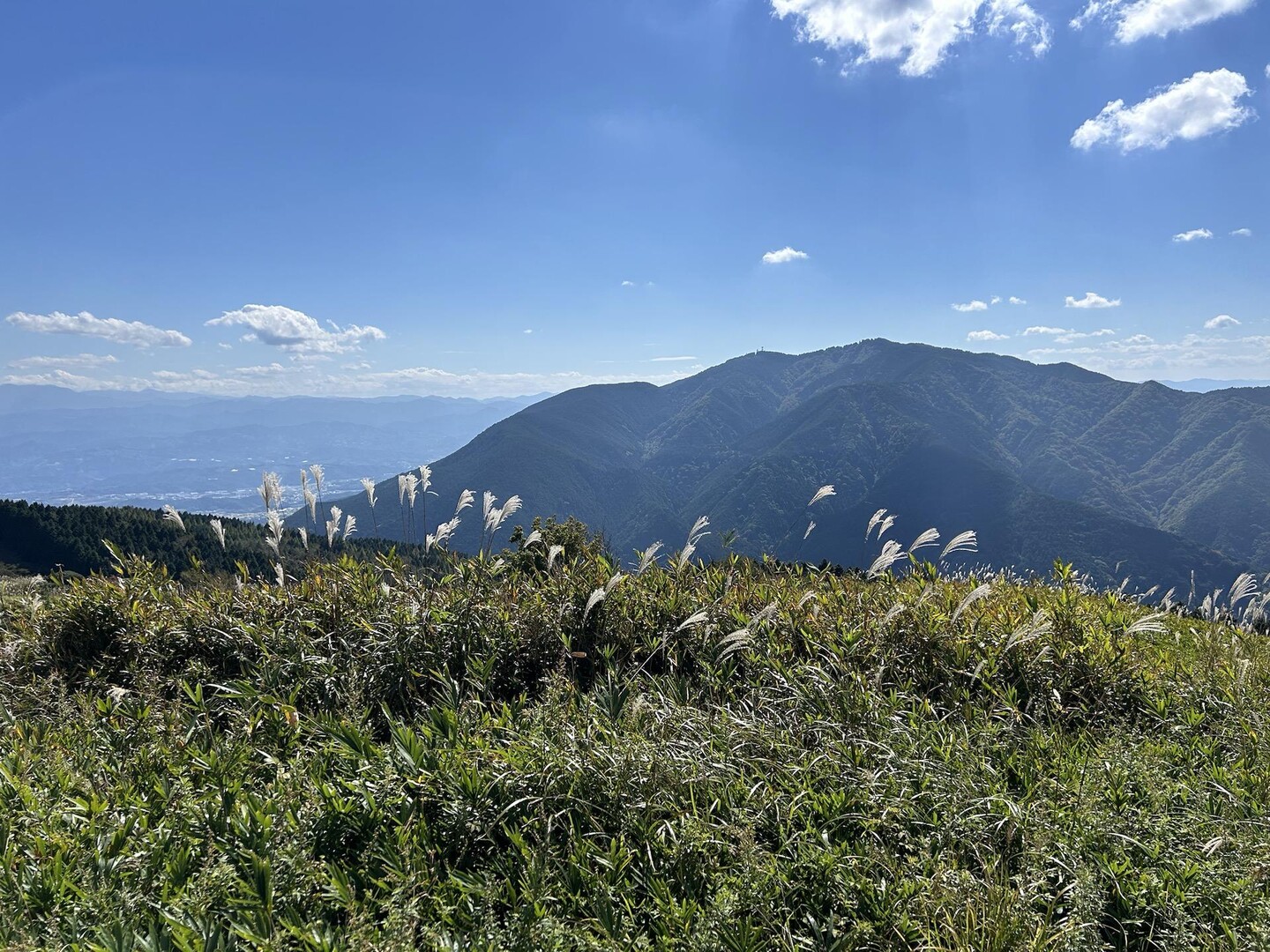 笛吹山・大和葛城山 / みつをさんの金剛山・二上山・大和葛城山の活動データ | YAMAP / ヤマップ