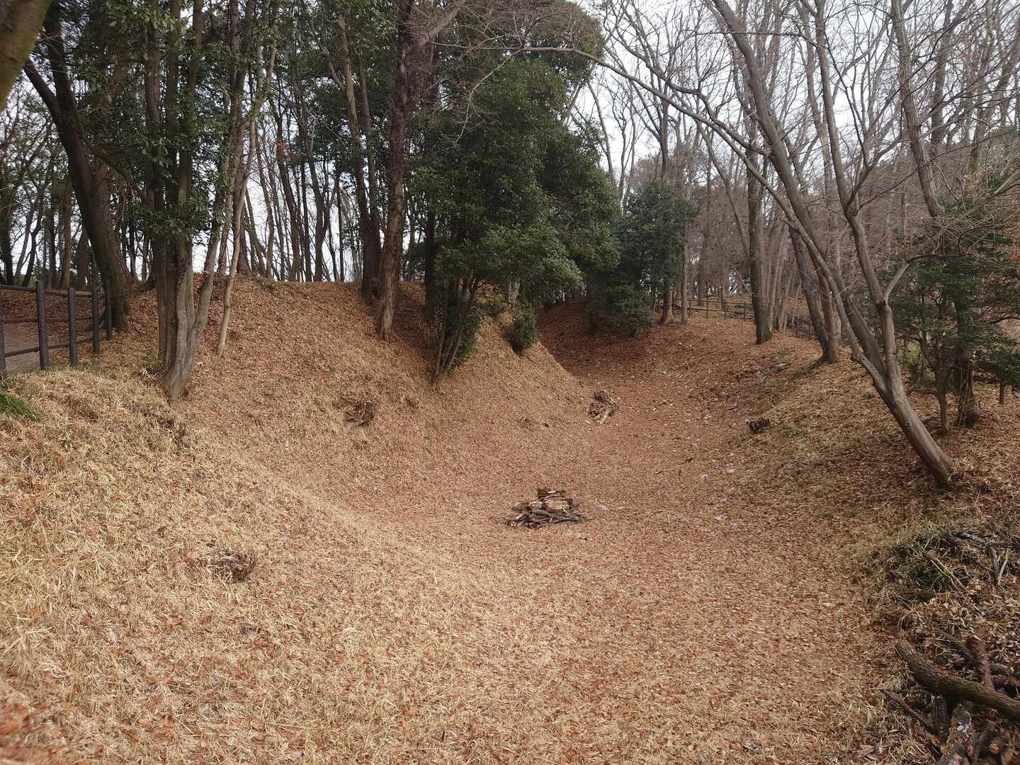 冬休み関東編～八王子滝山城 / ANCさんの八王子市の活動データ | YAMAP / ヤマップ