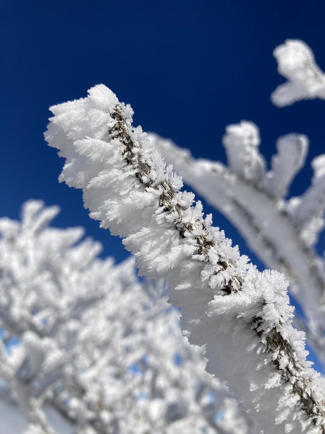 祖母山 / KOSけさんの祖母山の活動データ | YAMAP / ヤマップ