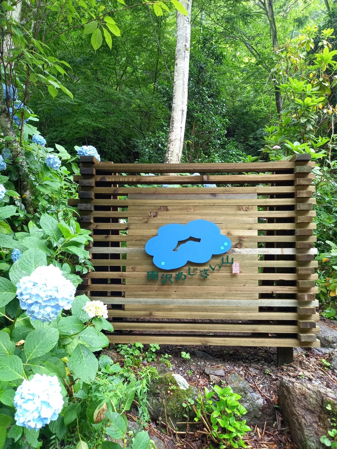 南沢あじさい山 / ayakootaさんの大岳山・御岳山・御前山の活動データ | YAMAP / ヤマップ