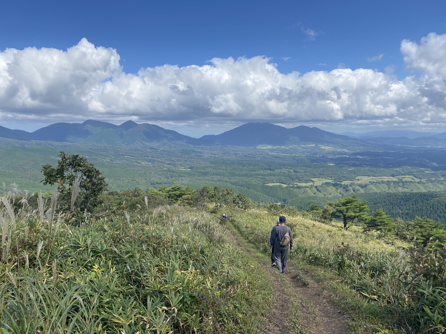 三平山 / momacさんの毛無山の活動データ | YAMAP / ヤマップ