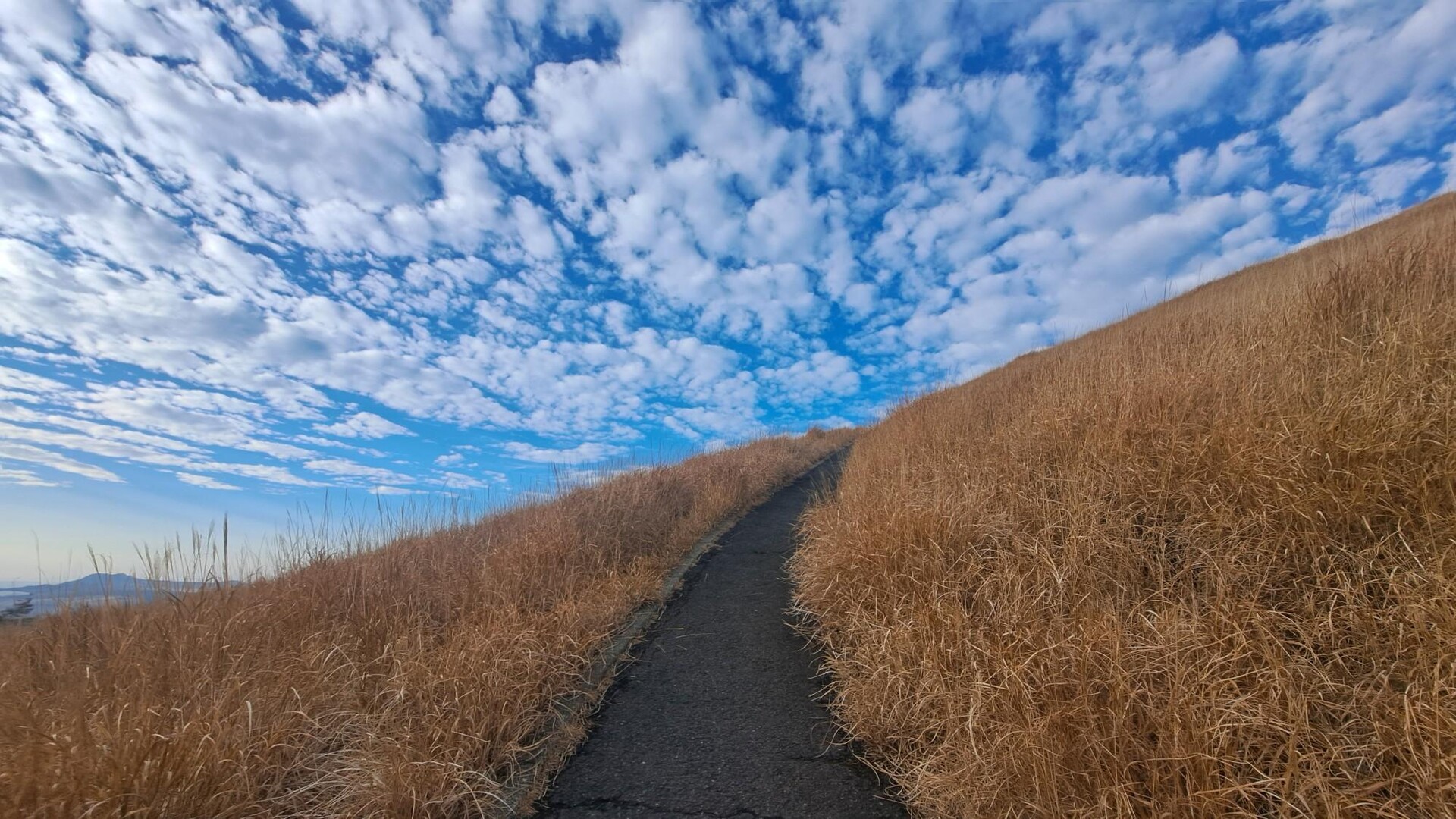 のぼり始めた～! 最高!阿蘇山! / kodama-sun (旧keiko)さんのモーメント | YAMAP / ヤマップ