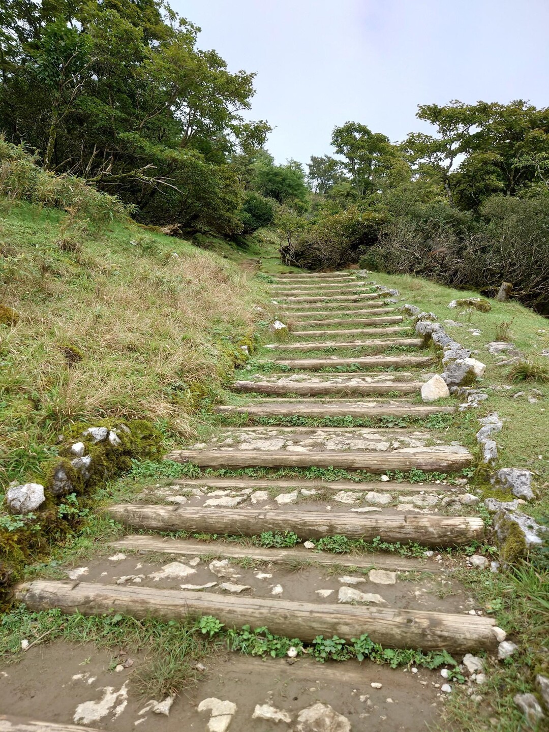 伊吹山 / ryouさんの伊吹山・伊吹高原・御座峰の活動データ | YAMAP / ヤマップ