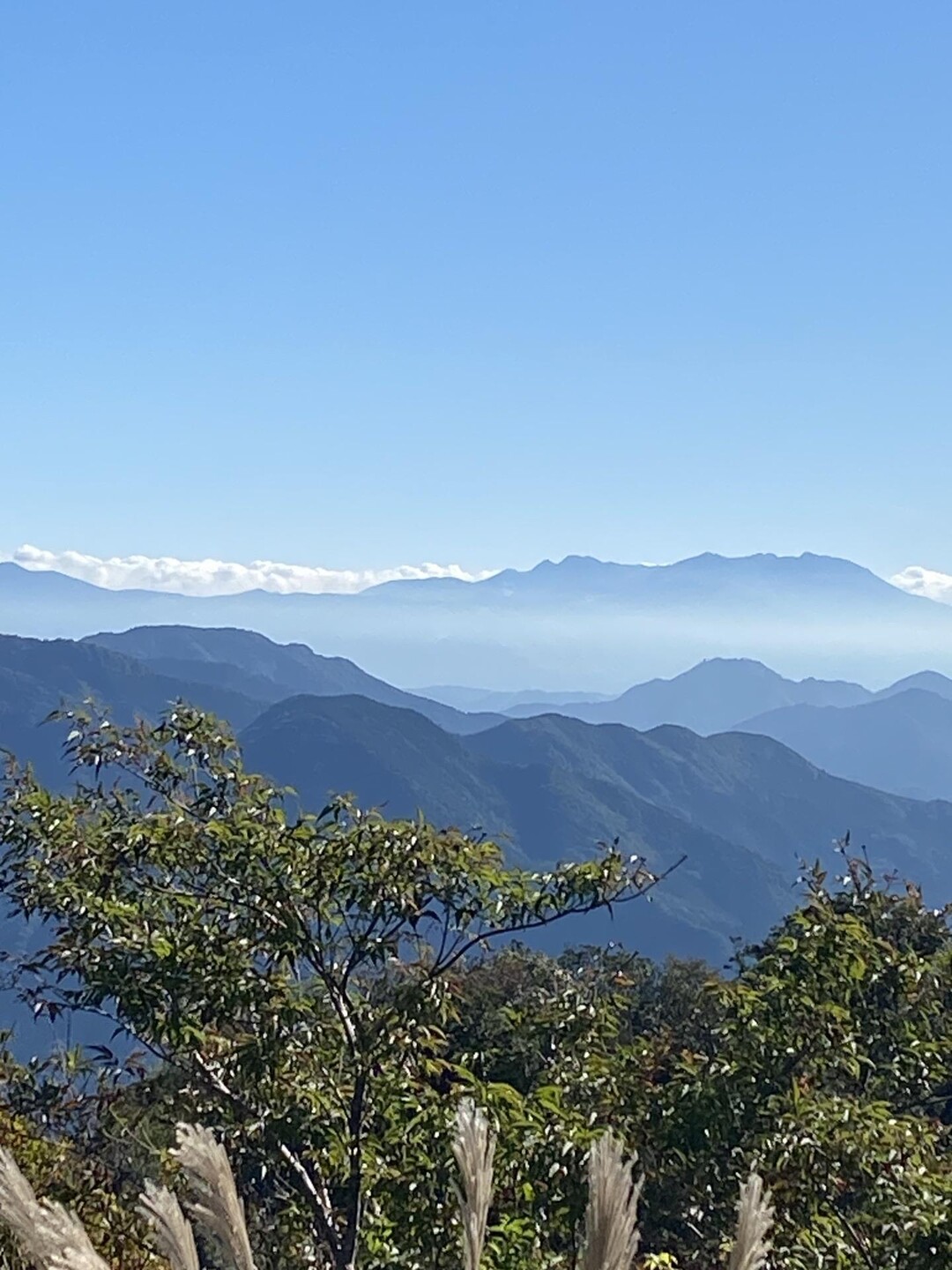 蟹足岳・八方ヶ岳(山鹿) / em1209さんの八方ヶ岳の活動データ | YAMAP / ヤマップ