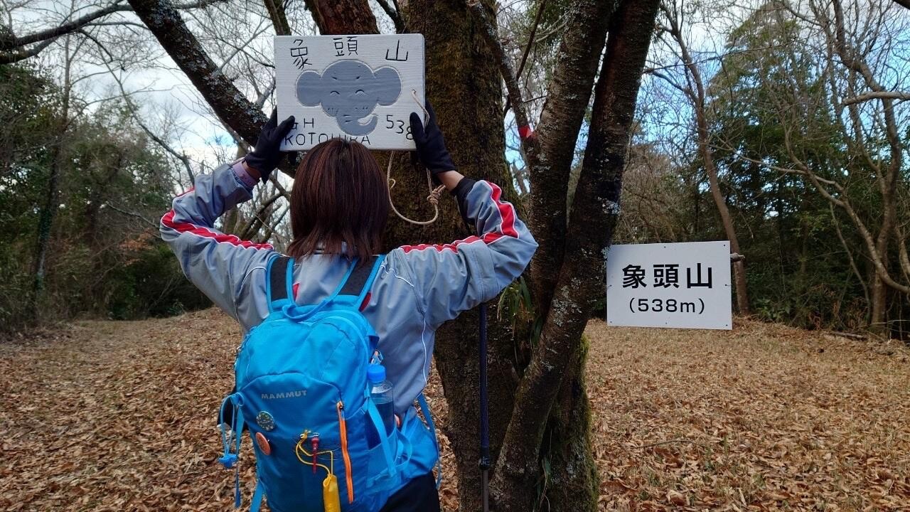 大麻山・象頭山・琴平山・八景山・愛宕山 / ☆taemon☆さんの大麻山・象頭山・琴平山の活動データ | YAMAP / ヤマップ