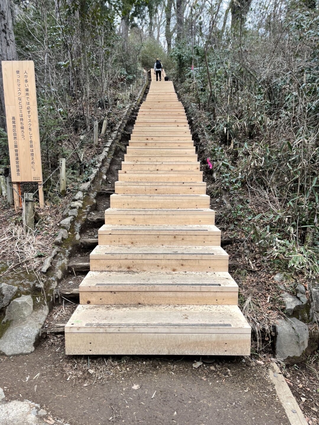 高尾山-2022-03-20 / meiさんの高尾山・陣馬山・景信山の活動データ | YAMAP / ヤマップ