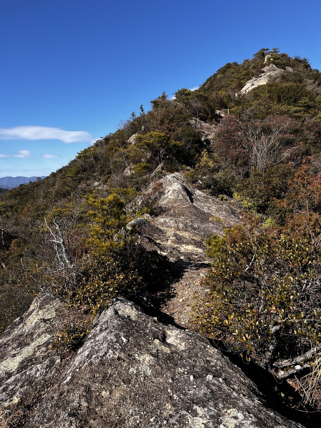 大坂山 / idasさんの三草山の活動日記 | YAMAP / ヤマップ
