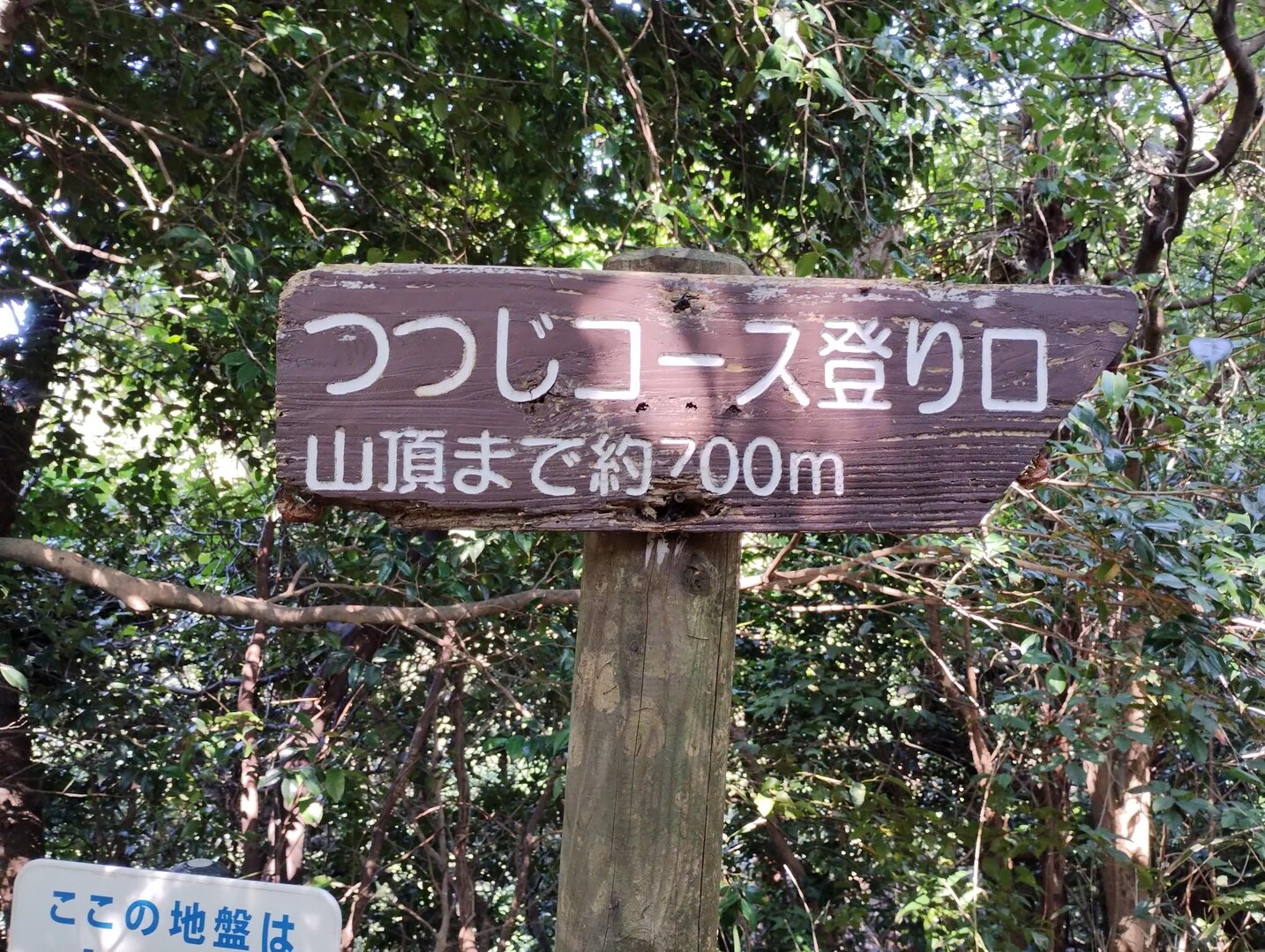 大峰山 / tarouさんの三浦アルプス・二子山・仙元山の活動データ | YAMAP / ヤマップ