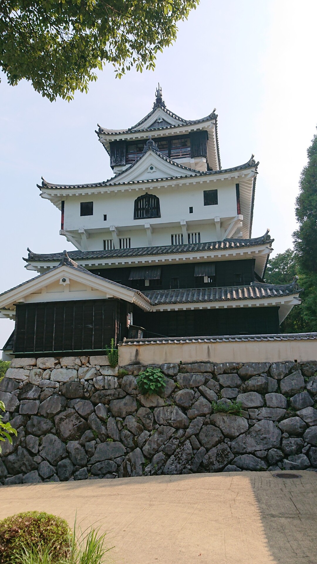 岩国市 岩国エリア-2019-06-20 / 岩国市 岩国エリアの写真5枚目 | YAMAP / ヤマップ