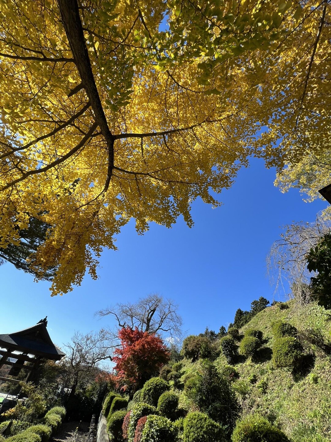 今日は朝から晴れ☀️風も無く絶好の登山日... / ymatさんのモーメント | YAMAP / ヤマップ
