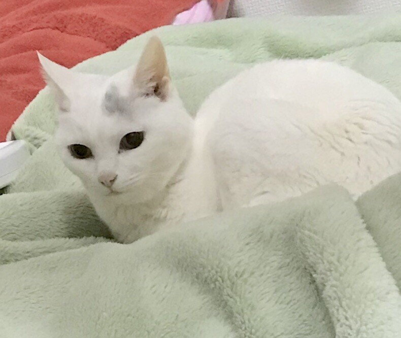 Mieのページ | YAMAP / ヤマップ