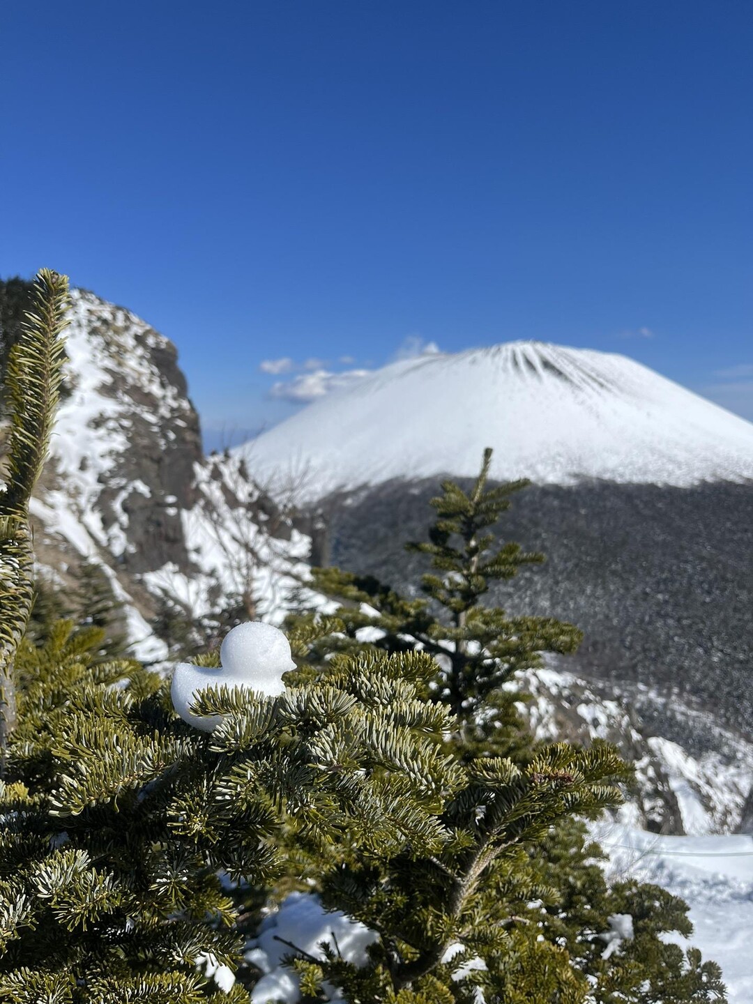車坂山・槍ヶ鞘・トーミの頭・黒斑山 / mihoさんの浅間山・黒斑山・篭ノ登山の活動データ | YAMAP / ヤマップ