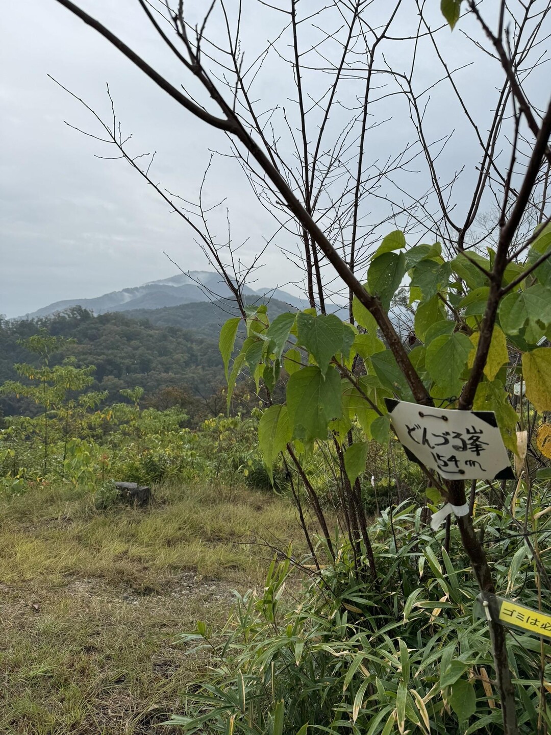 屯鶴峯 / Hiro-sanさんの金剛山・二上山・大和葛城山の活動データ | YAMAP / ヤマップ
