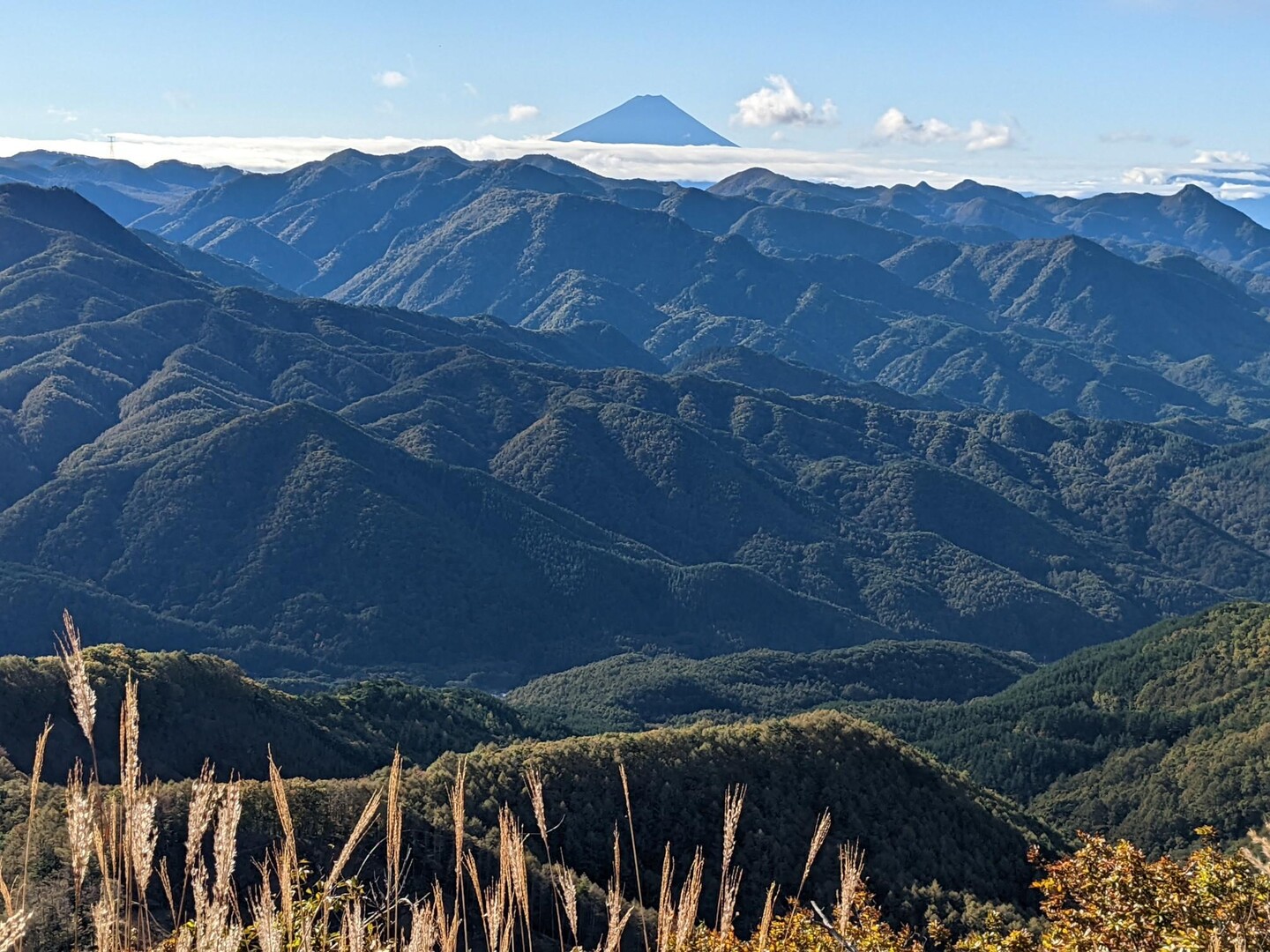 横尾山 / kobochan no1さんの飯盛山の活動データ | YAMAP / ヤマップ