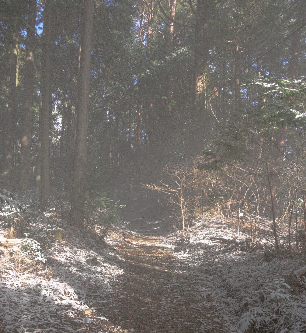 雪中登山が初めてだった2021 山中で風... / vlog_tottiyさんのモーメント | YAMAP / ヤマップ