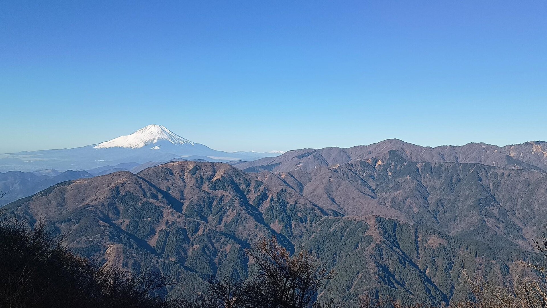 大山 / KAAZ さんの大山の活動データ | YAMAP / ヤマップ