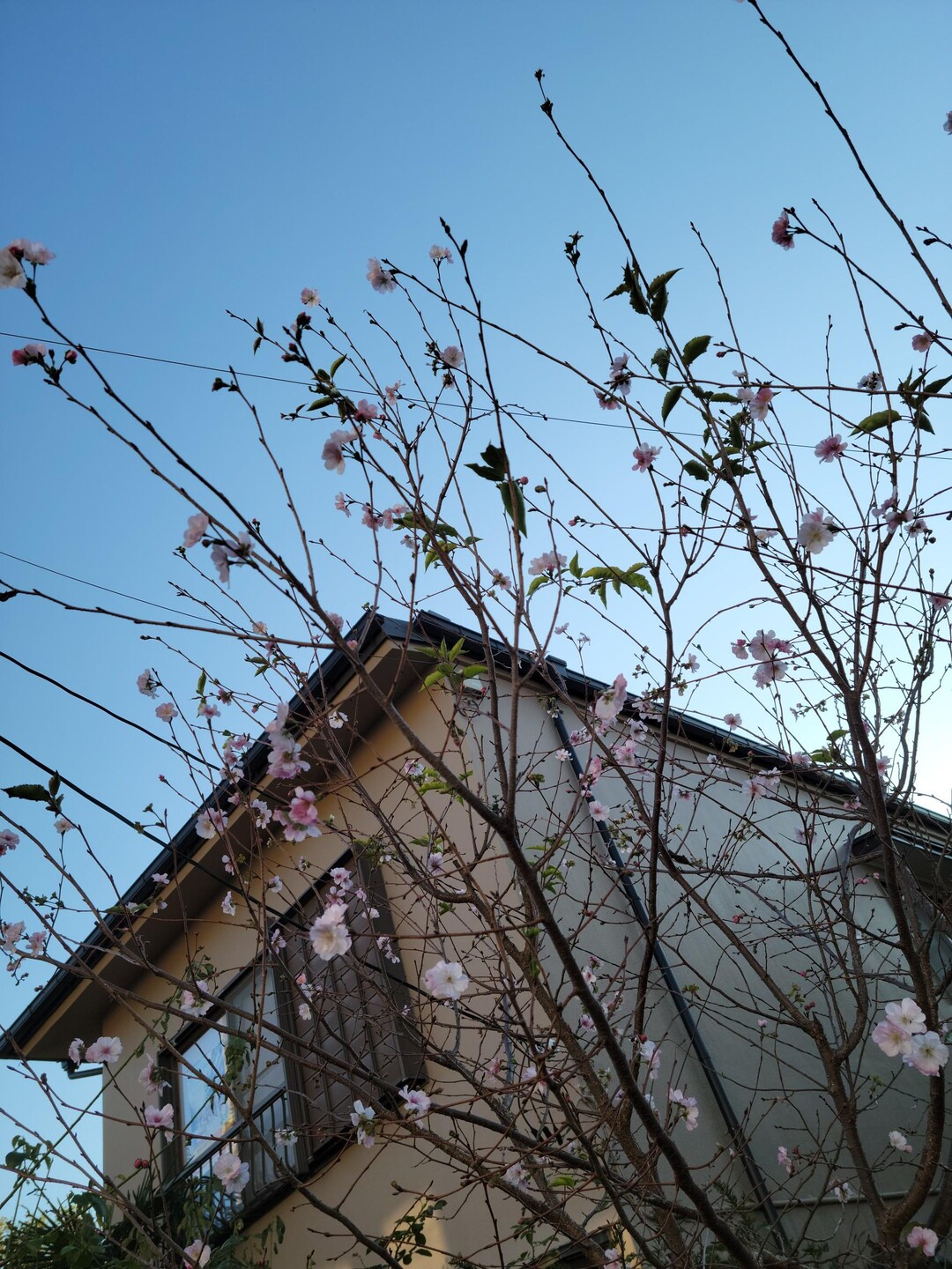 一気に秋深くなりつつ、もうすぐ冬の気配が... / kazuさんのモーメント | YAMAP / ヤマップ