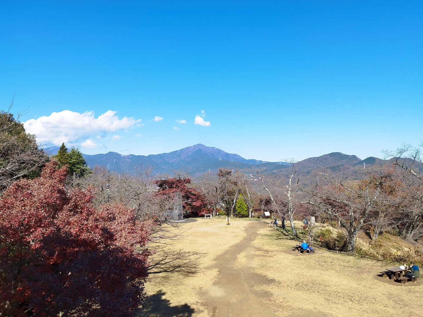 🦲弘法山〜⛰️高取山 / かわ1234さんの大山の活動データ | YAMAP / ヤマップ