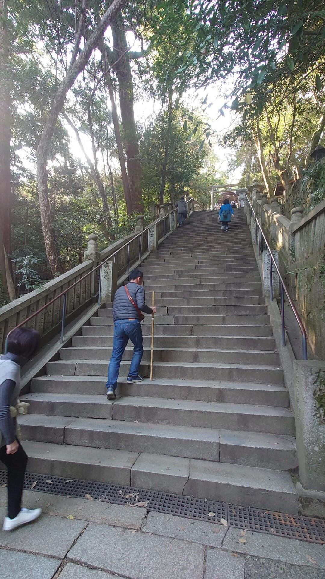 blackmoreさんの投稿したフィールドメモ | YAMAP / ヤマップ