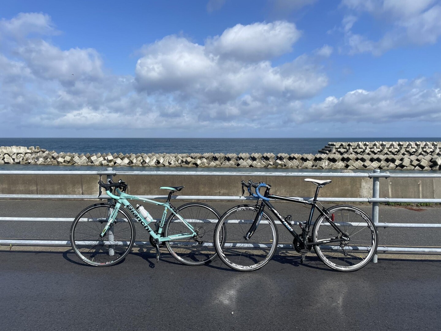 湾岸サイクリング 80kmコース / TOMさんの入善町の活動データ | YAMAP / ヤマップ