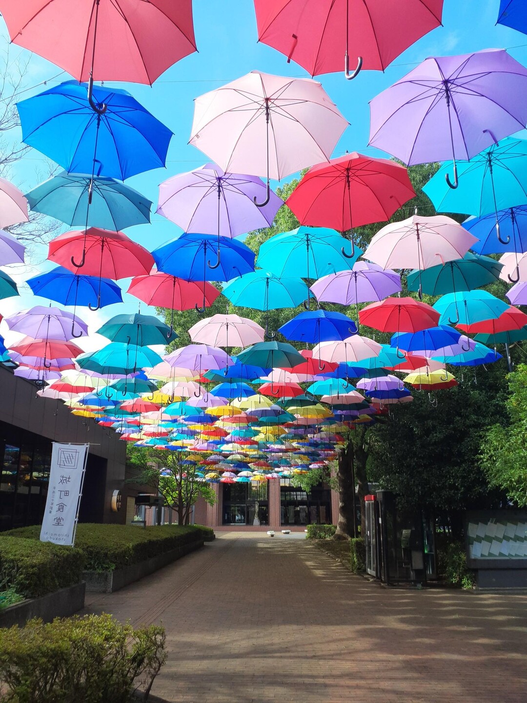 館林市アンブレラスカイと朝陽の小径ウォーキング-2024-07-03 / きよちゃんさんの館林市の活動データ | YAMAP / ヤマップ