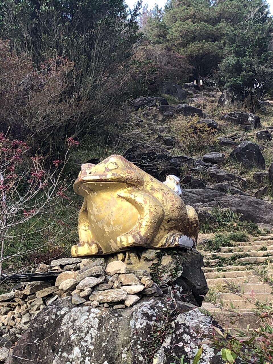 筑波山 / konyan さんのヤマノススメ巡礼マップ（筑波山）の活動日記 | YAMAP / ヤマップ