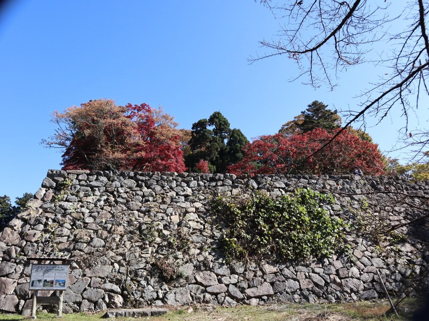 高取山 / てかりさんの高取山の活動データ | YAMAP / ヤマップ