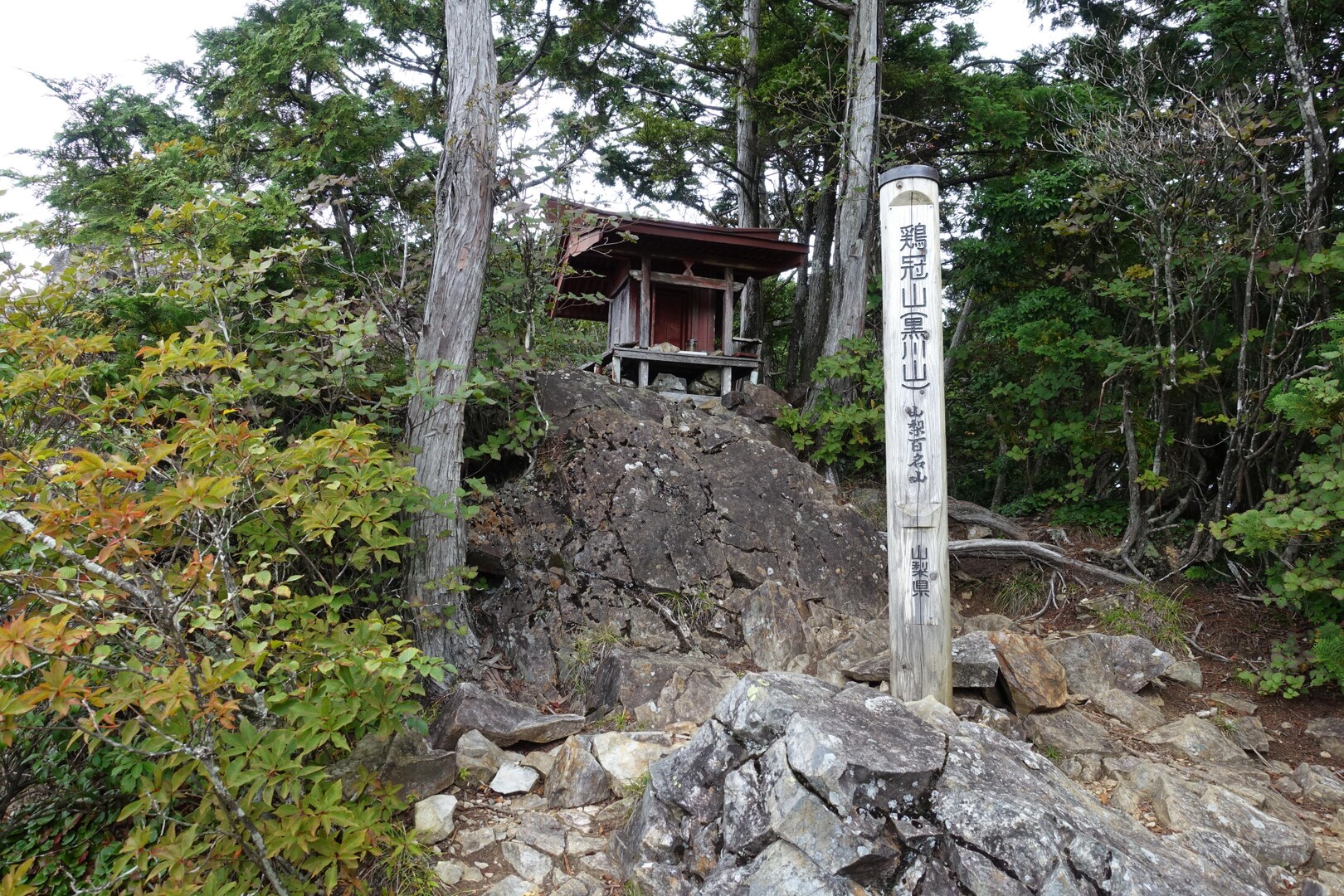 柳沢峠より鶏冠山(黒川山)へ / kamonmonさんの大菩薩嶺・鶏冠山・大マテイ山の活動日記 | YAMAP / ヤマップ