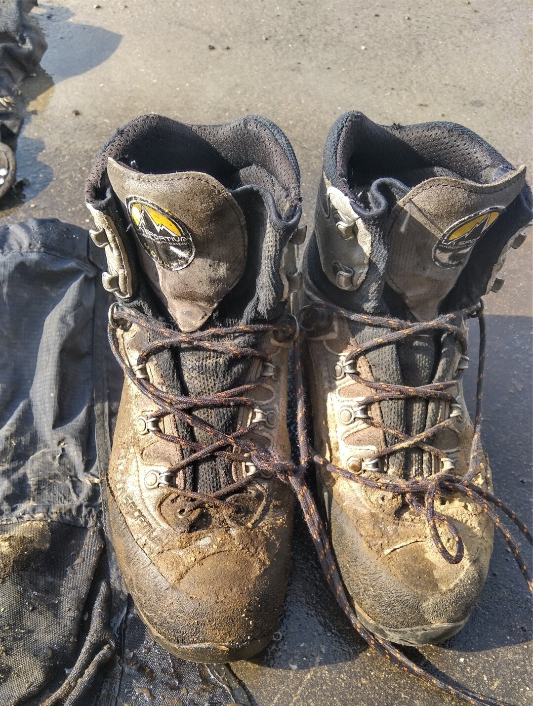 ドーモ稼ぎの投稿です。 黒ボク土のくじゅ... / obrさんのモーメント | YAMAP / ヤマップ