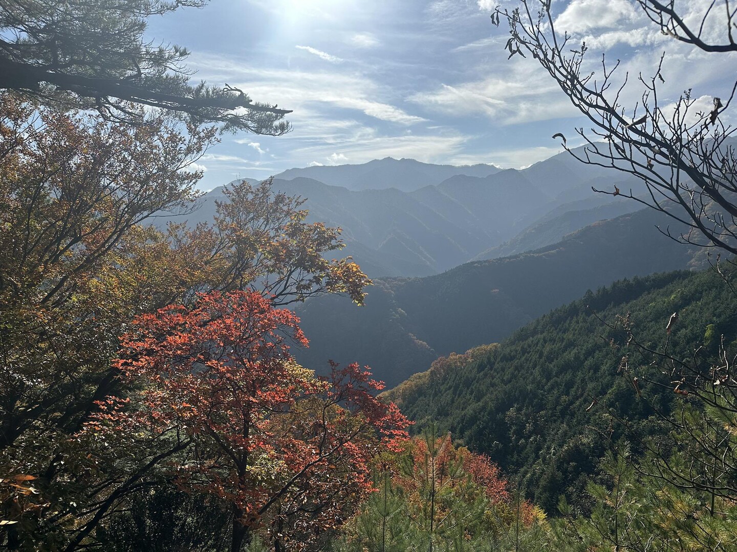 名栗湖周辺 ラウンド！ / szkさんの武甲山・伊豆ヶ岳・小持山の活動日記 | YAMAP / ヤマップ