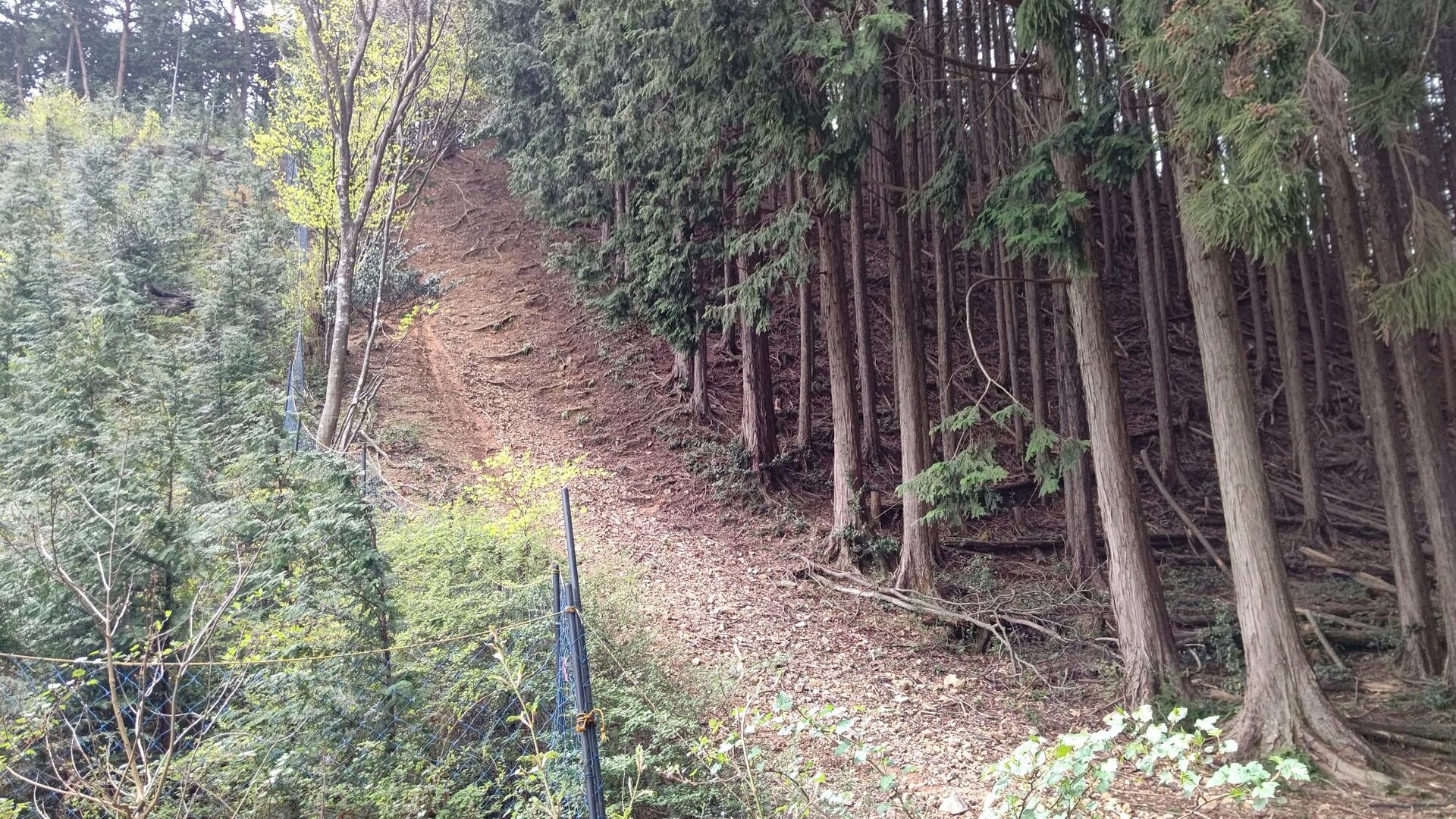 ypkun.さんの投稿したフィールドメモ | YAMAP / ヤマップ