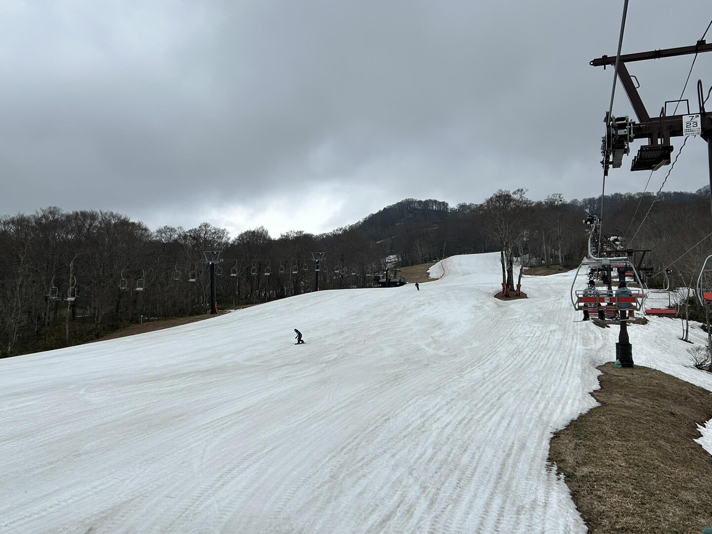 本日は春スキー⛷ 群馬県たんばらへ お天... / mieeさんのモーメント | YAMAP / ヤマップ