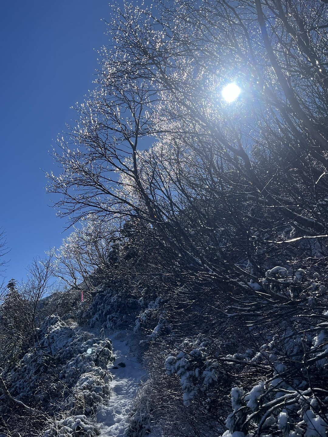 日本百高山 将棊頭山🏔️ / Yu-min.Kさんの木曽駒ヶ岳・空木岳・越百山の活動データ | YAMAP / ヤマップ