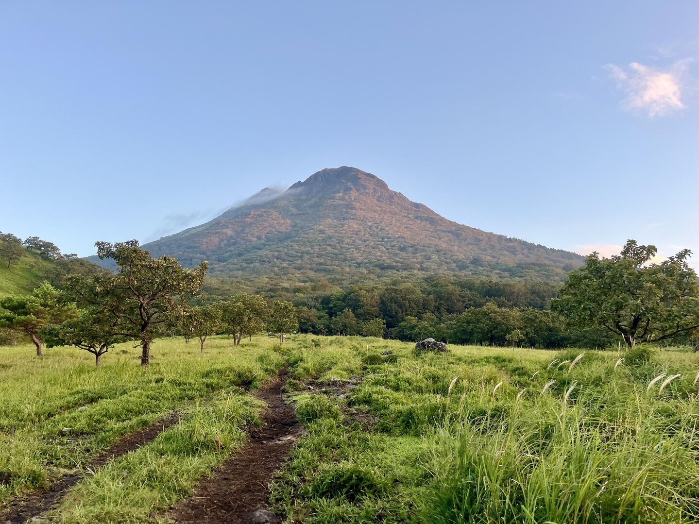 由布岳 お鉢巡り / meguさんの由布岳・鶴見岳の活動データ | YAMAP / ヤマップ