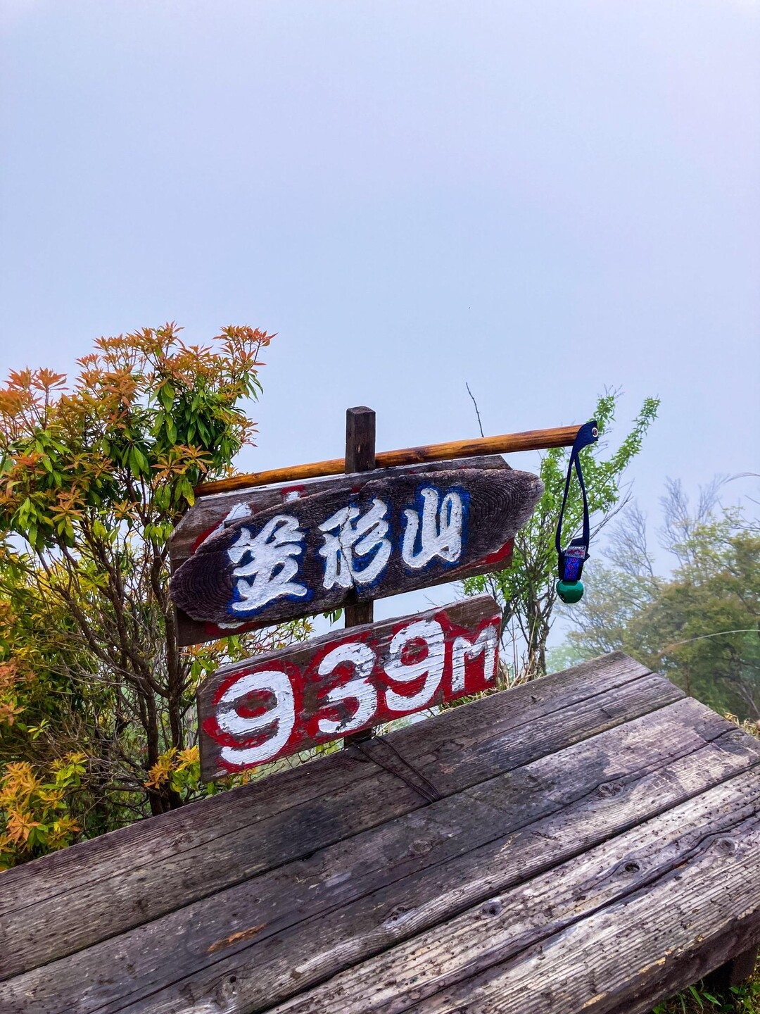 笠形山 八千代側林道から / okinjoさんの笠形山（播磨富士）の活動データ | YAMAP / ヤマップ