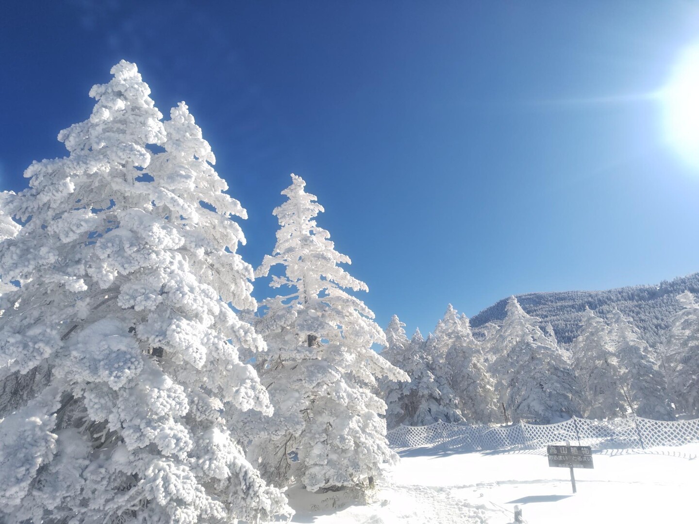 雨池BC250111-12 / ドカベソさんの蓼科山・横岳・縞枯山の活動日記 | YAMAP / ヤマップ
