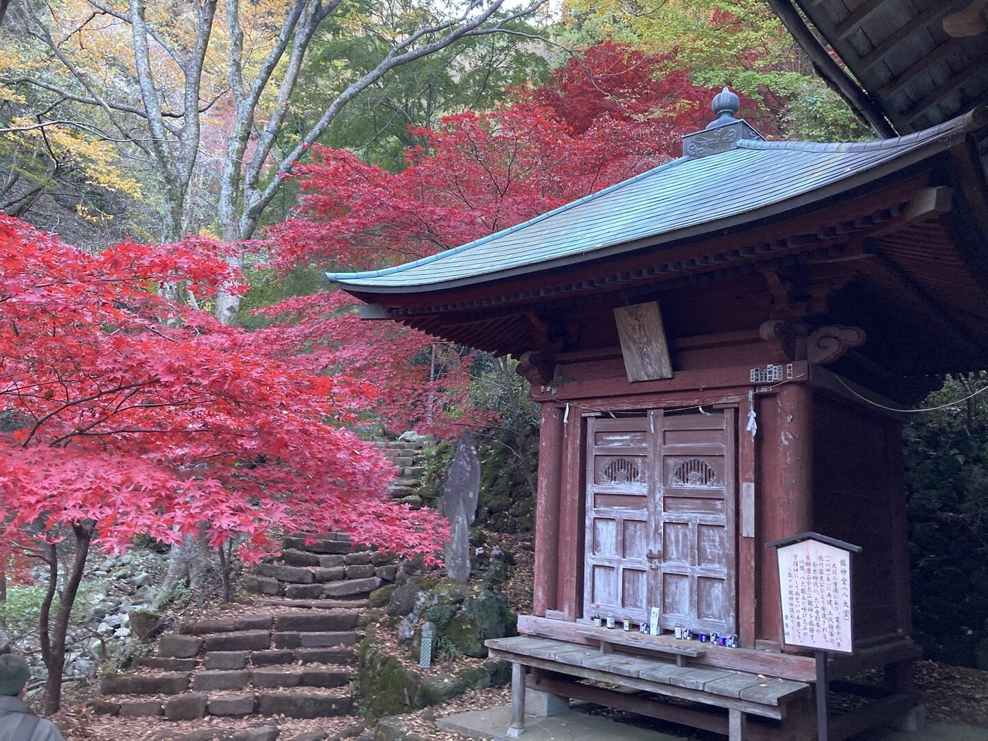 鶴巻温泉〜高取山〜大山 / nononさんの大山の活動データ | YAMAP / ヤマップ